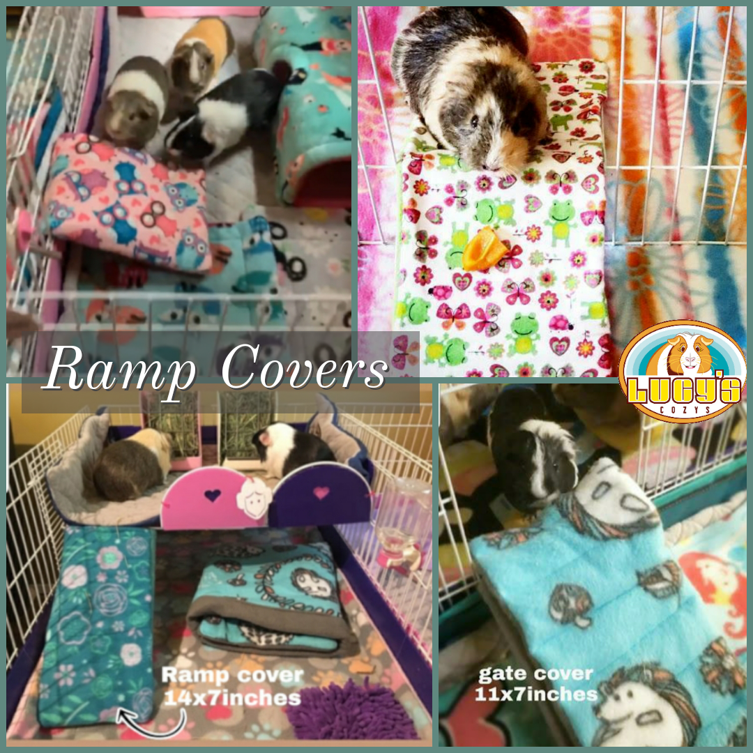 Custom Ramp Covers – Lucy's Cozys